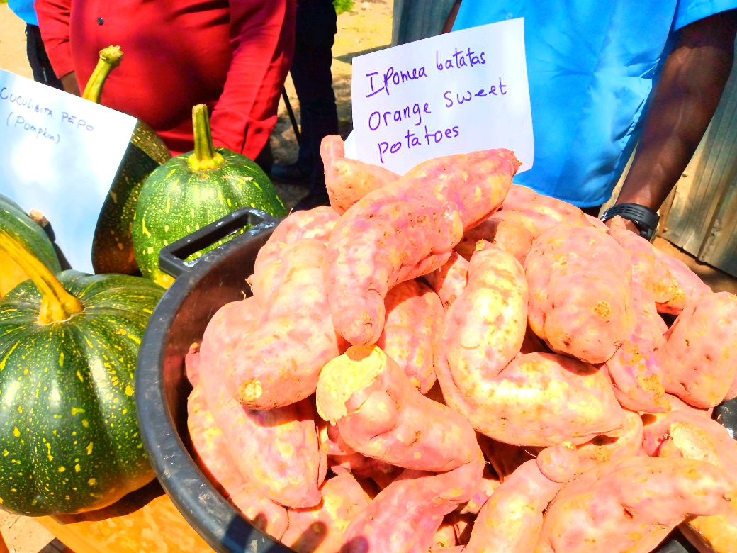 Ikigo cya Iwawa gikoresha ibijumba mu kuvura amaso abahagororerwa - KT ...